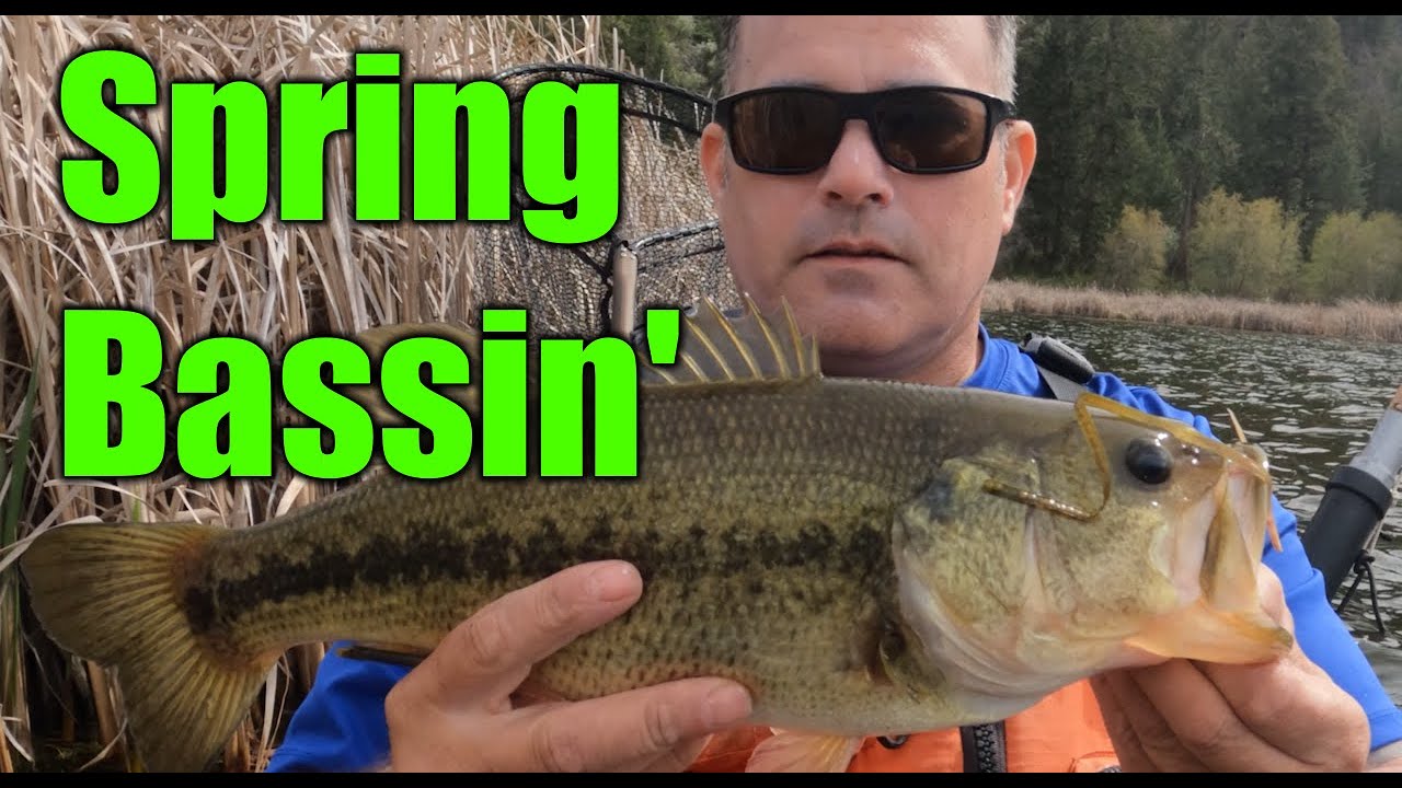 Washington Spring Largemouth Bass Dink Frenzy Kayak Fishing - YouTube