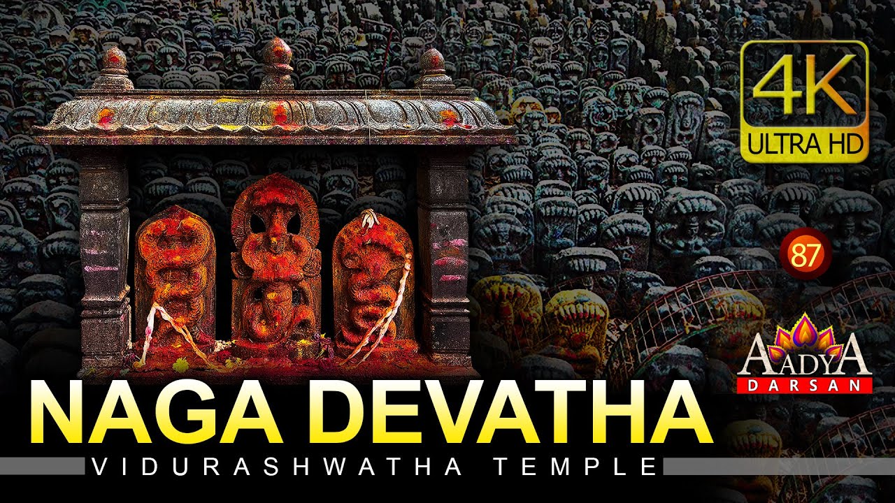 NAGA DEVATHA | Vidurashwatha temple(with subtitles)Amazing India 🇮🇳|4K Ultra HD #87 - YouTube