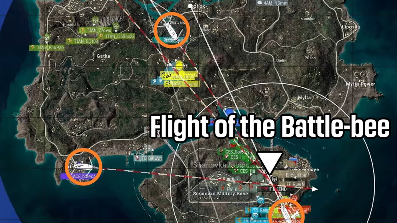 Flight of the Battle-Bee 🐝 - YouTube