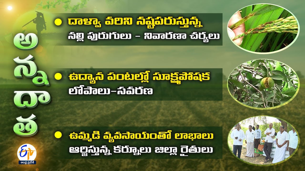 అన్నదాత | 17th March 2023 | Annadata | Full Bulletin | ETV Andhra ...