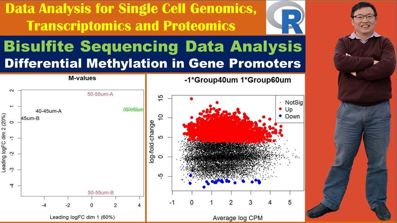 Bisulfite Sequencing Data Analysis: Differential Methylation in Gene ...