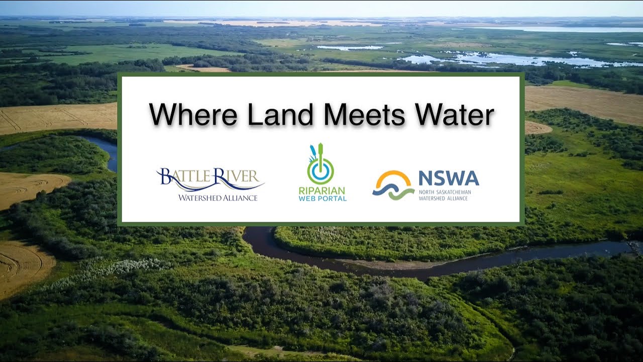 Riparian Video Series - Video 2 - Where Land Meets Water - YouTube