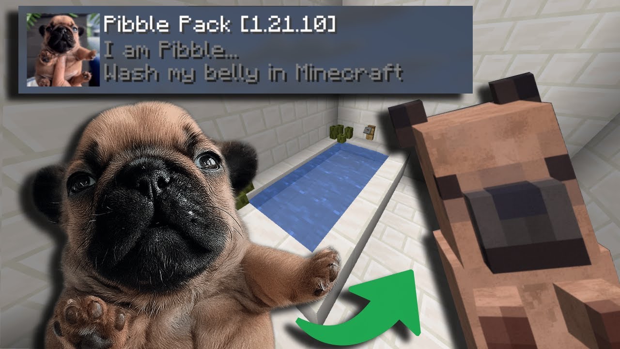 I am Pibble... Wash my belly in Minecraft - YouTube