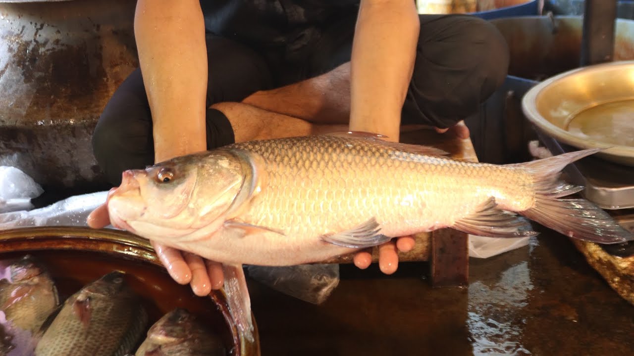 Big Size Fish Cutting Skill!! 😮 Wow!! Great Fish Cutting Video!! Super ...