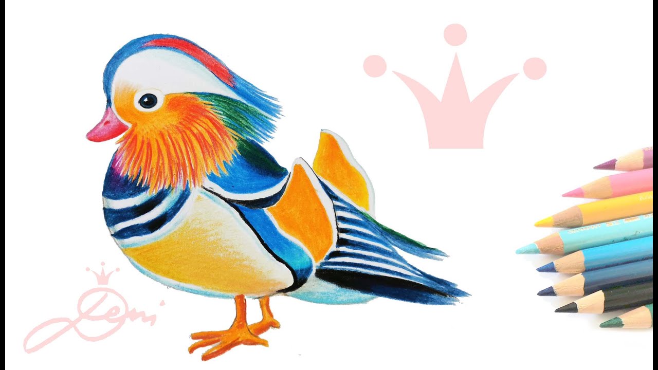 Mandarinente zeichnen lernen 🦆 Deni zeichnet Ente 🏻 Wie zeichnet man ...