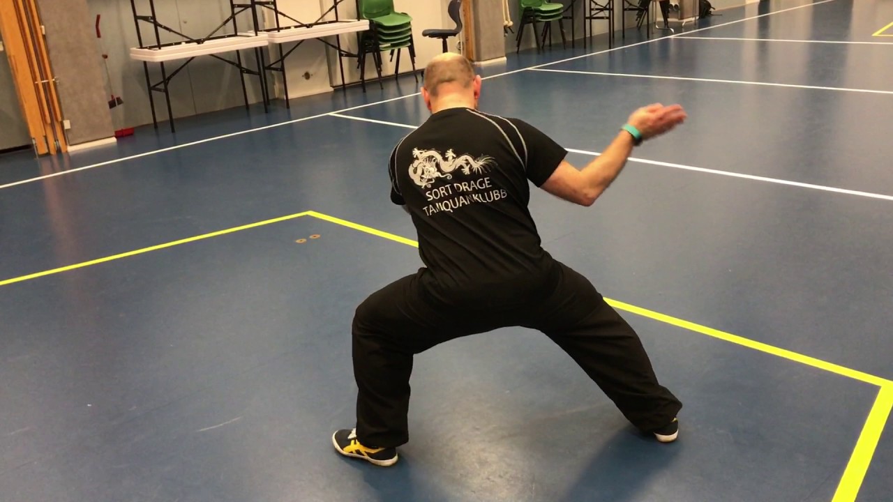 Fra Single Whip til Hidden Thrust Punch bakfra - YouTube