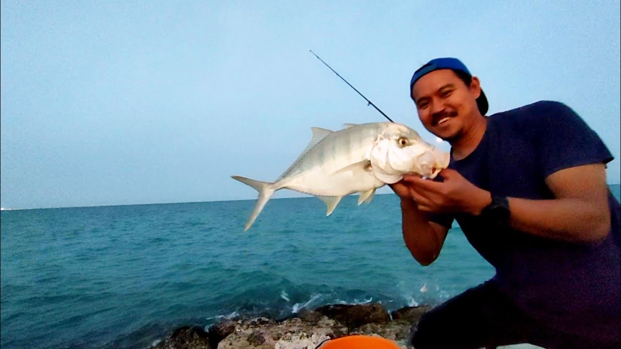 Amazing Sea BIG Catching Trevally Fish & Queenfish - YouTube