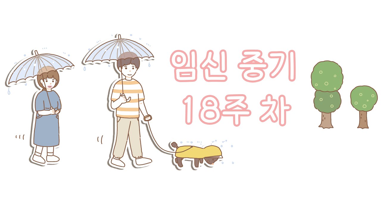 ์์ ์ผ๊ธฐ๐คฐ ์์ ์ค๊ธฐ 18์ฃผ ์ฐจ๐ท ๋ฐฐ๊ผฝ๊น์ง ์ฌ๋ผ์จ ๋ฐฐ ์ท๋ฐฉ ์ ๋ฆฌ ๊ฑฑ์ ์ ์ ๋ชป ๋๋ ์๋ฒฝ ๋์ฒด๋ก ์๋ ์์ Youtube