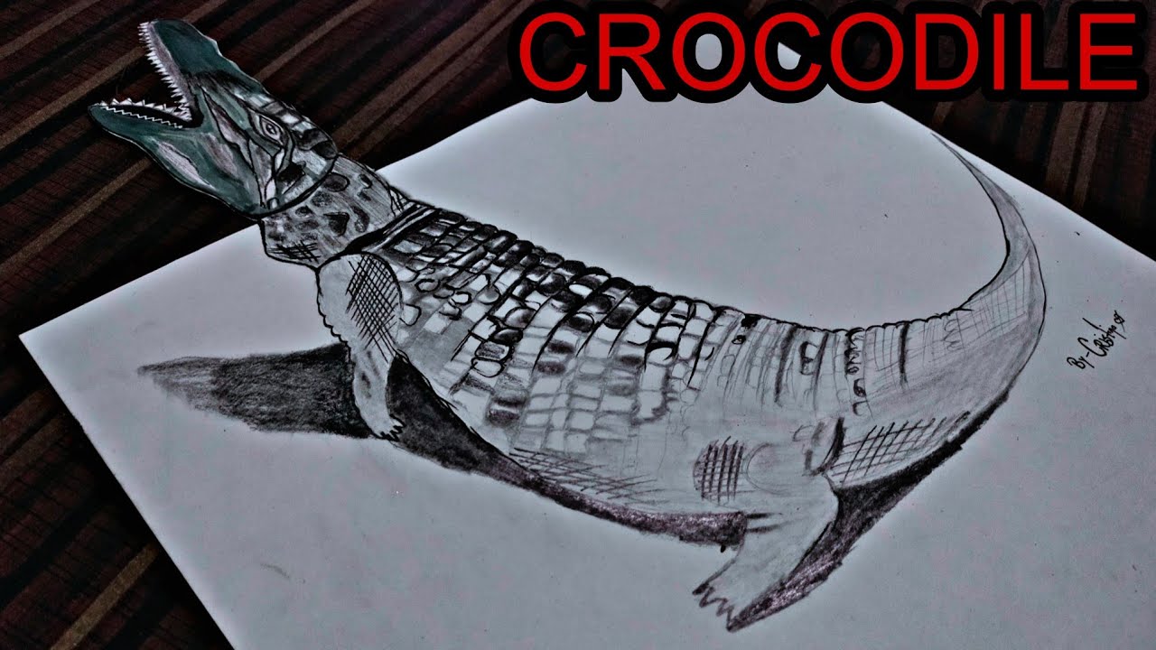How to draw Crocodile 🐊|| Drawing 3D Crocodile #drawing #artist # ...
