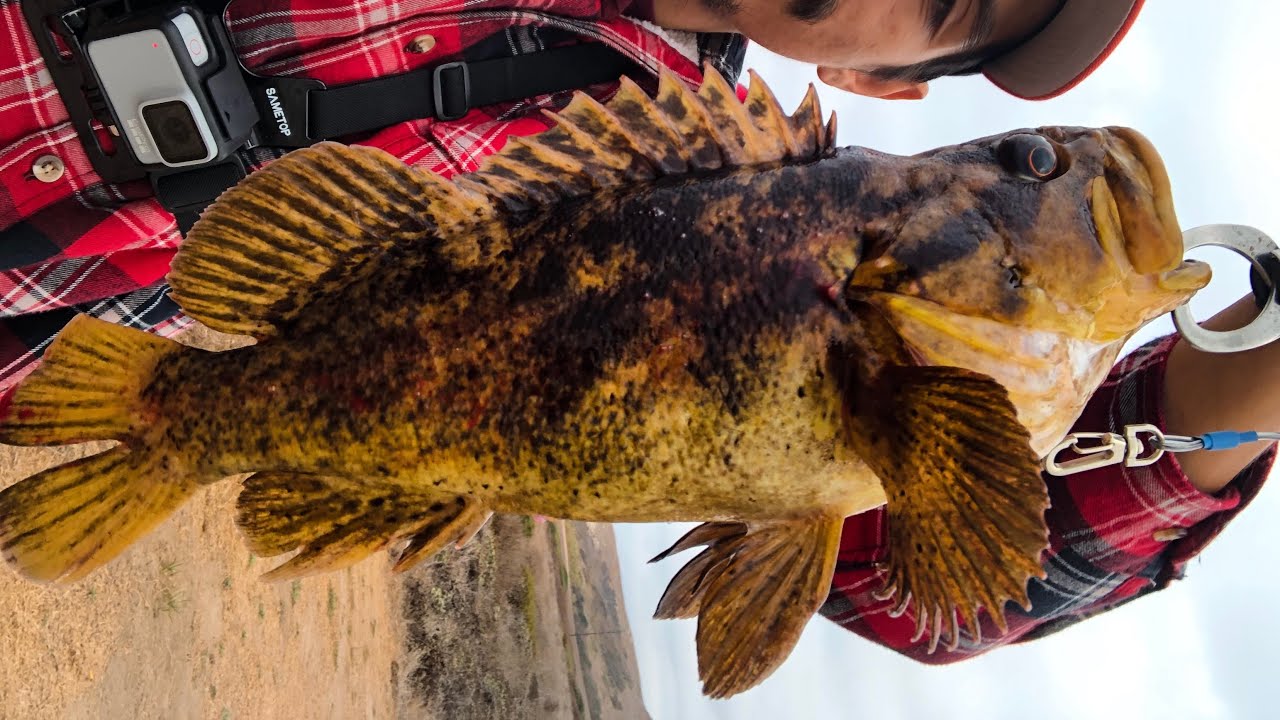 Big Rock fish caught from huge cliff in Davenport! went fishing for a ...
