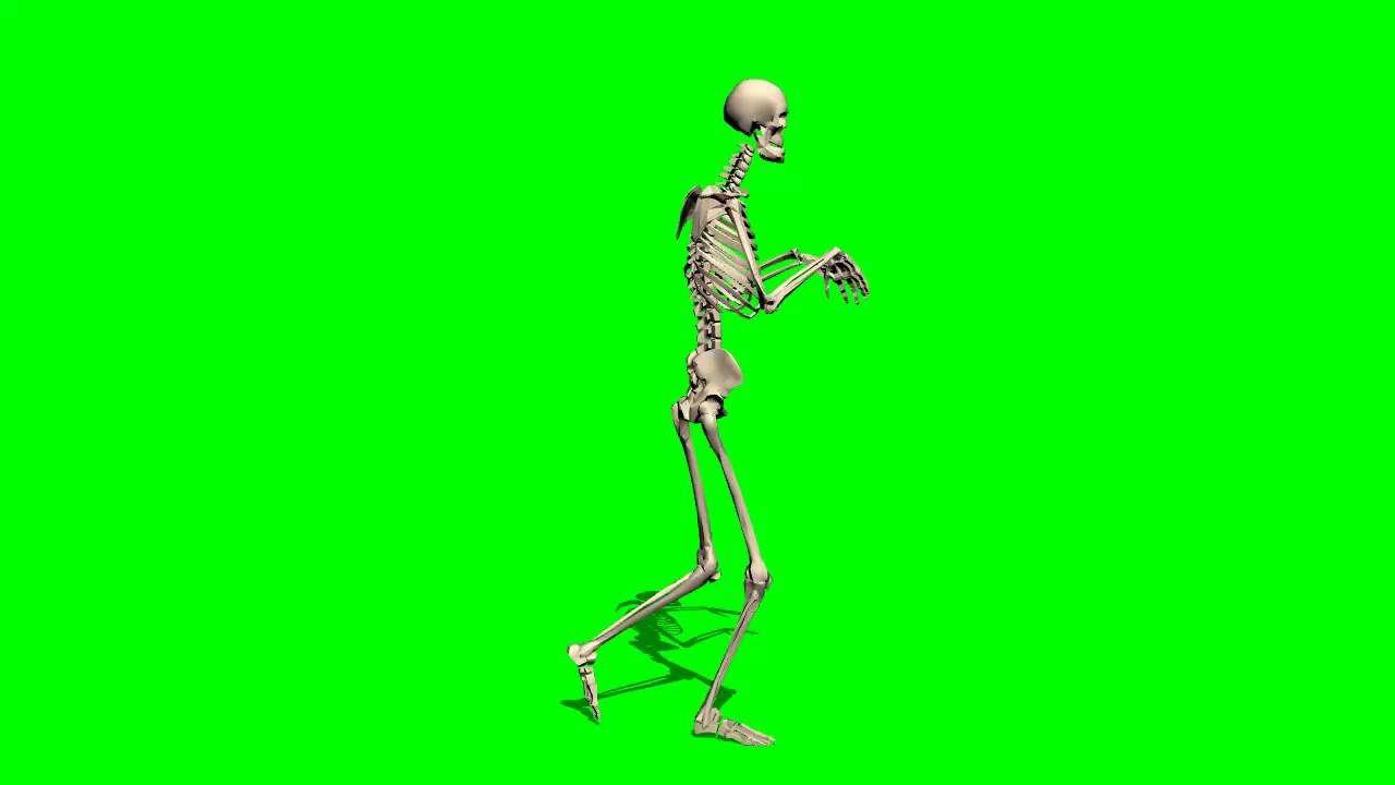 Skeleton sneaks quietly greenscreen effects - YouTube