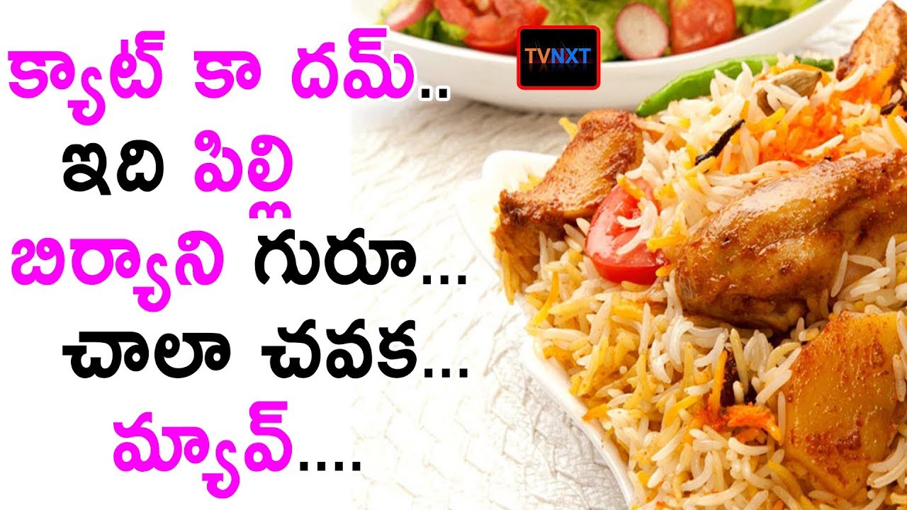 Cat Dum Ka Biryani Served in Chennai, Tamil Nadu | Cat Biryani Sale at ...