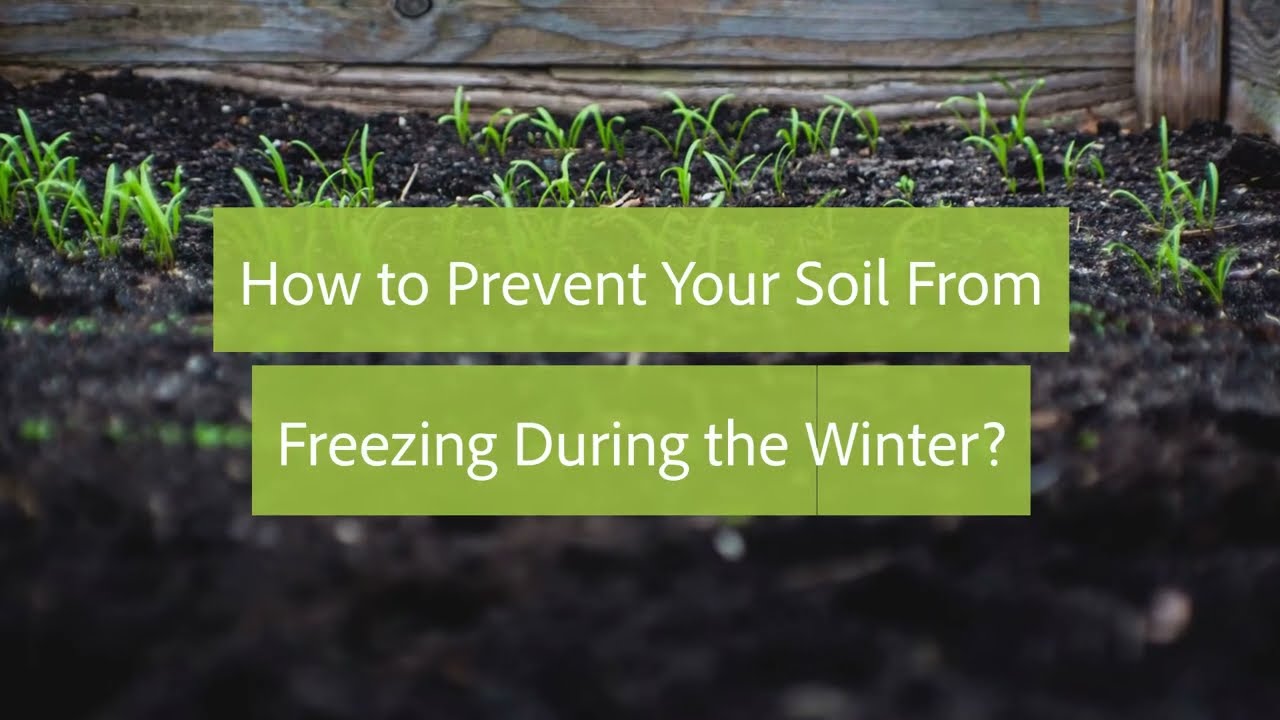 How to prevent your soil from freezing during the winter - YouTube