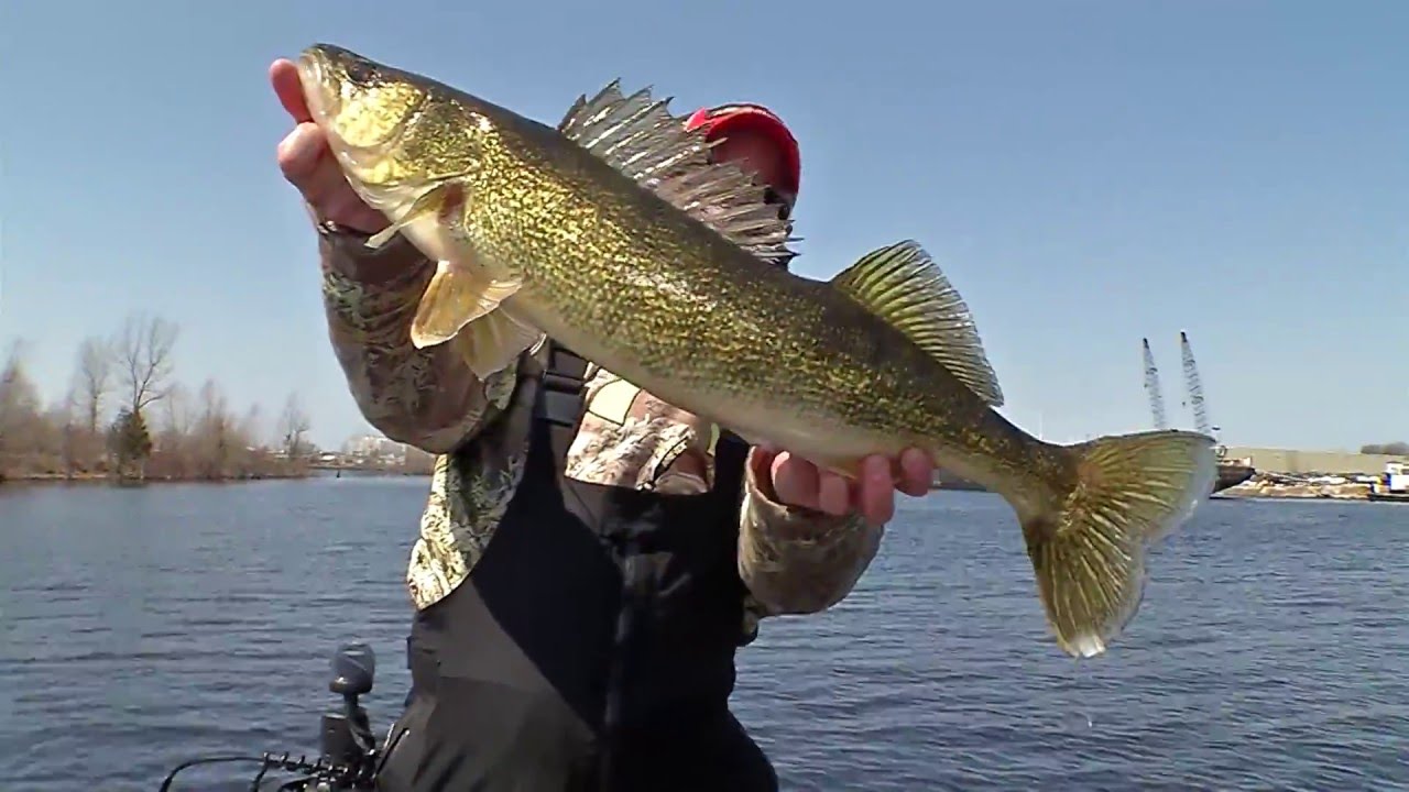 17_2016 Wisconsin Weather and Walleyes Preview - YouTube