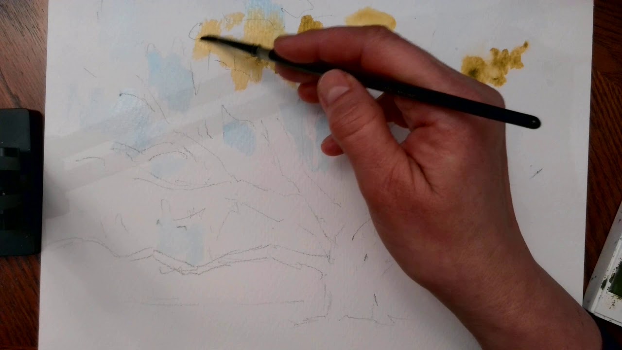 Spain moss on a tree, painting in watercolor. Part 1 - YouTube