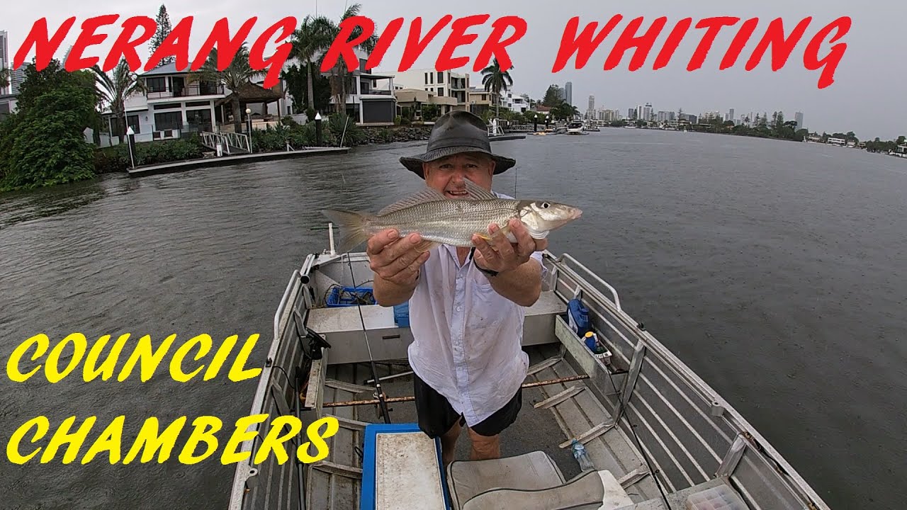 NERANG RIVER FISHING 24TH FEB 2024 - YouTube