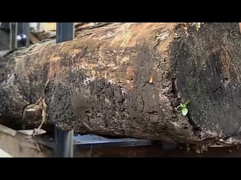 The appearance of this teak wood grain offers a remarkable surprise