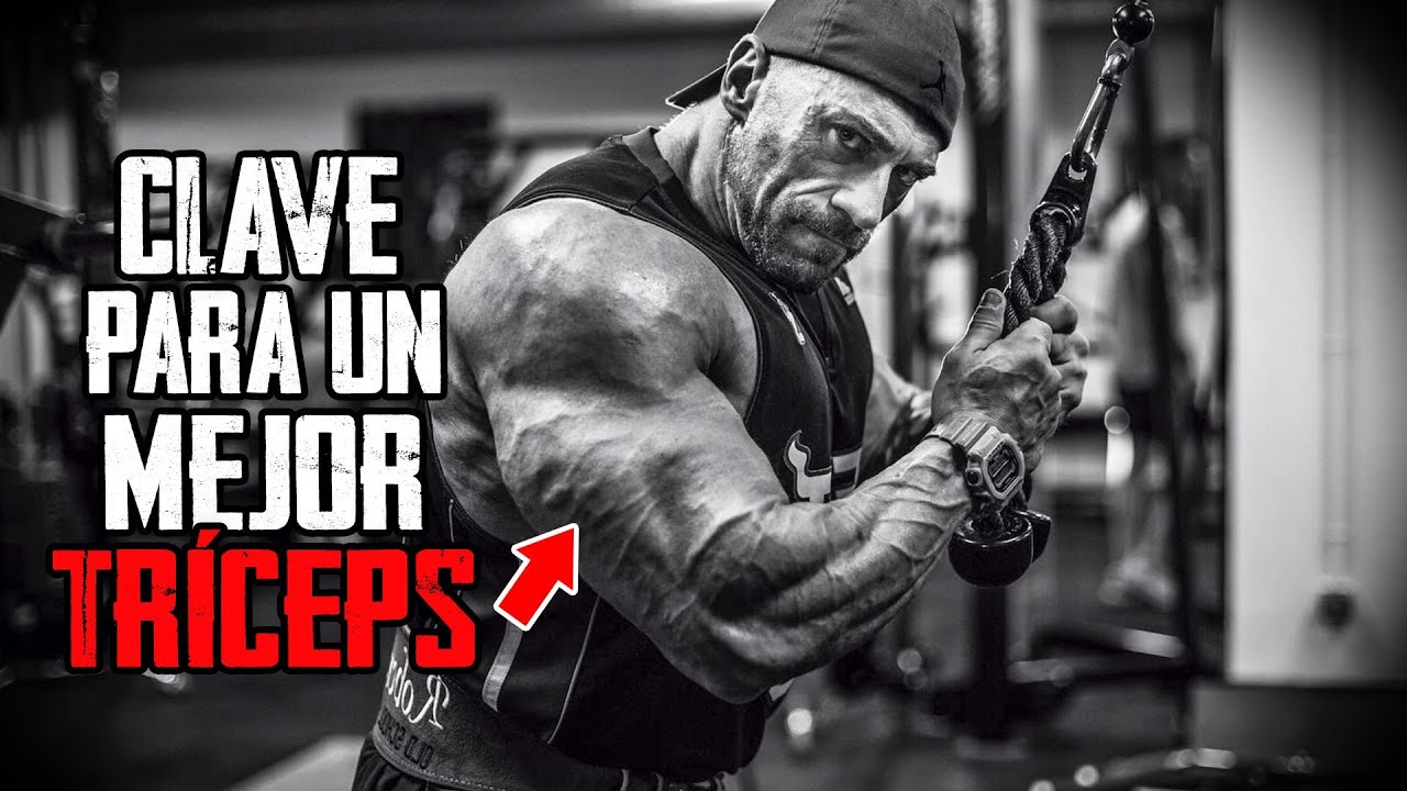 CLAVE para un MEJOR TRICEPS - YouTube