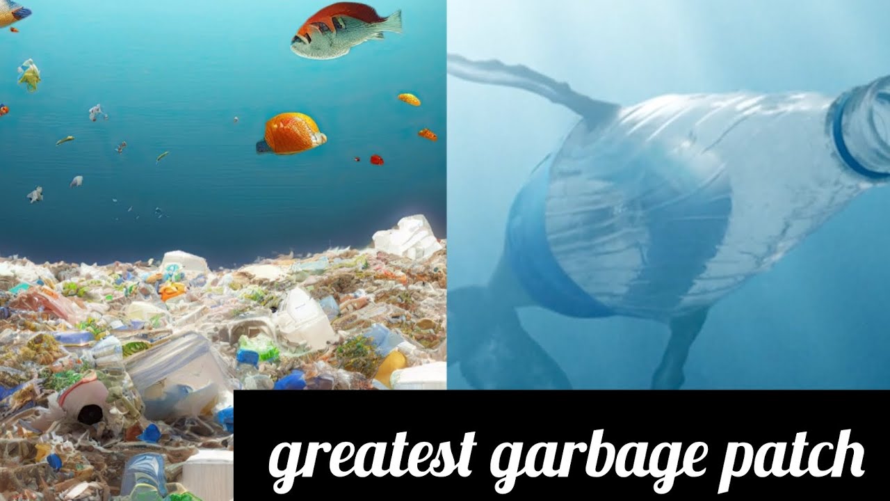 The greatest garbage patch in the world | The North Atlantic Garbage ...