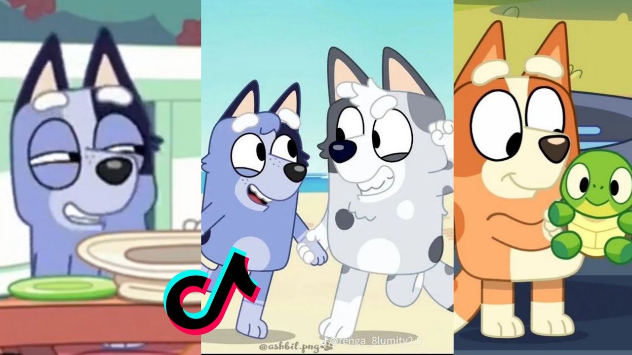 Bluey TikToks - Best Tiktok Compilation 2023 #50 - YouTube