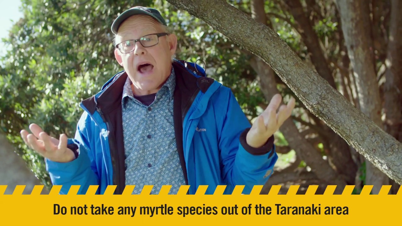 'Bug man' Ruud Kleinpaste explains myrtle rust and movement controls in ...