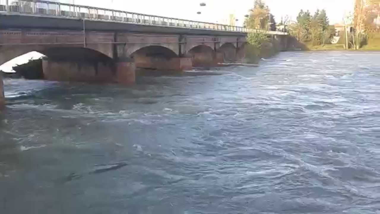 Piena