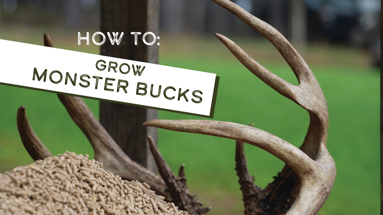 How to: Manage a Deer Heard | Monster Meal Pt2 | PayDirt - YouTube