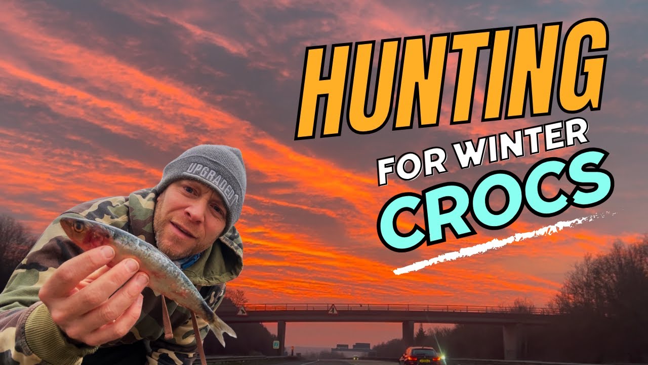Feb Croc Chasing! - YouTube