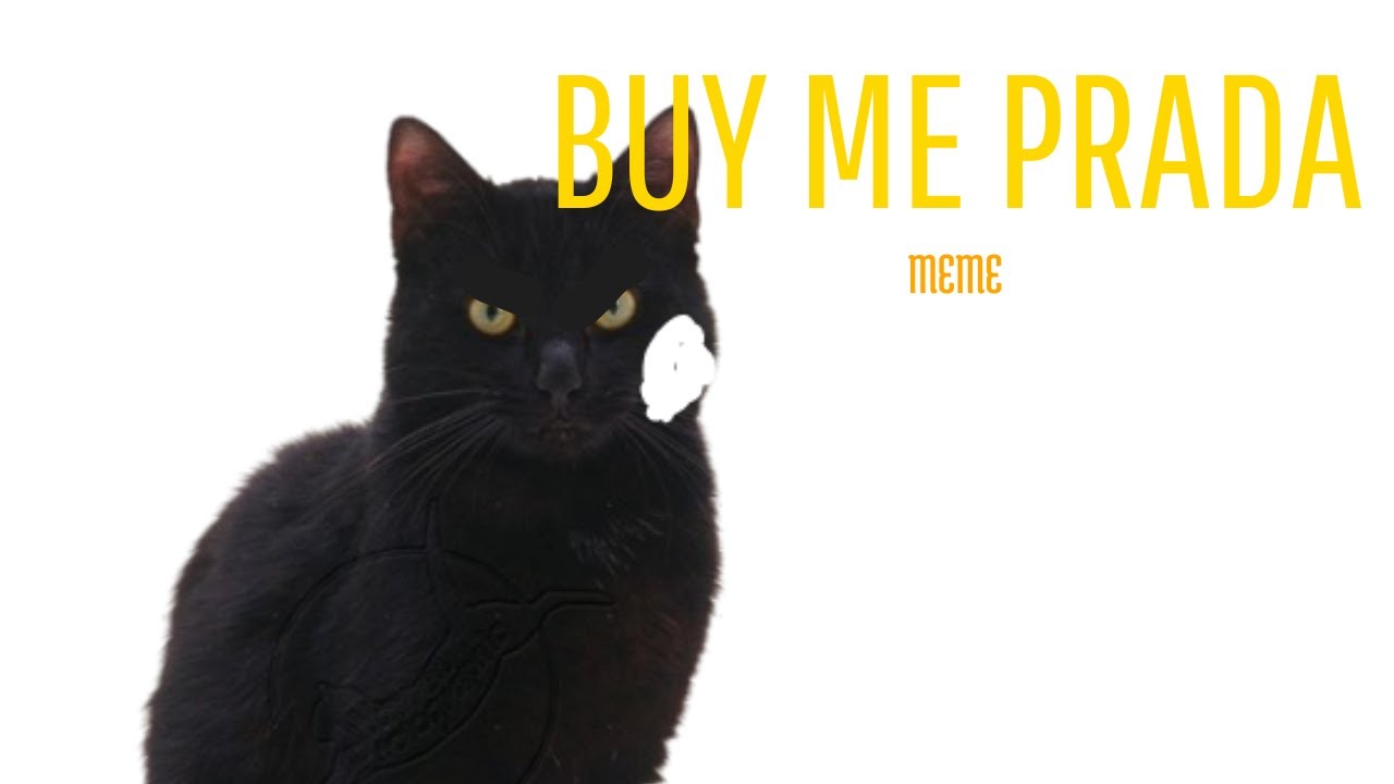 Buy me Prada meme | WHY IS THE SECOND DRESS SO F*CKING WEIRD LOOKING😭😭😭 ...