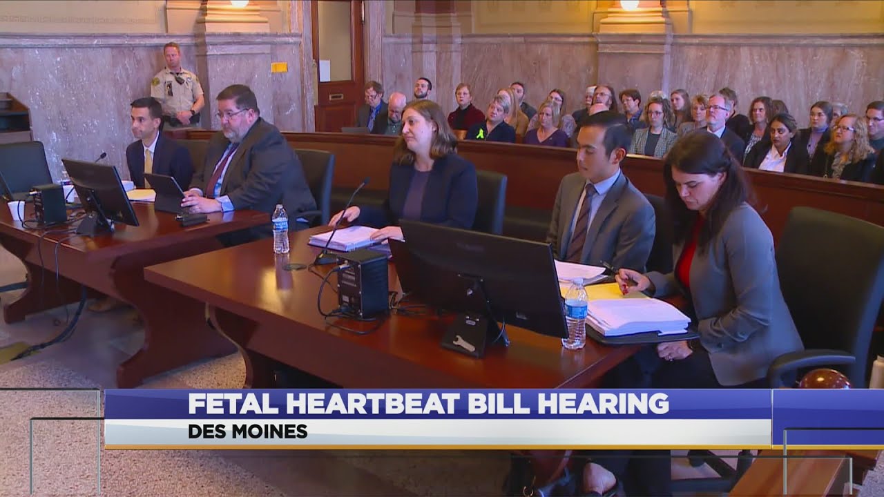 Fetal heartbeat bill hearing - YouTube