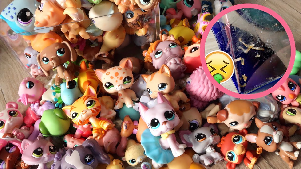 my new LPS are growing...MOULD - YouTube