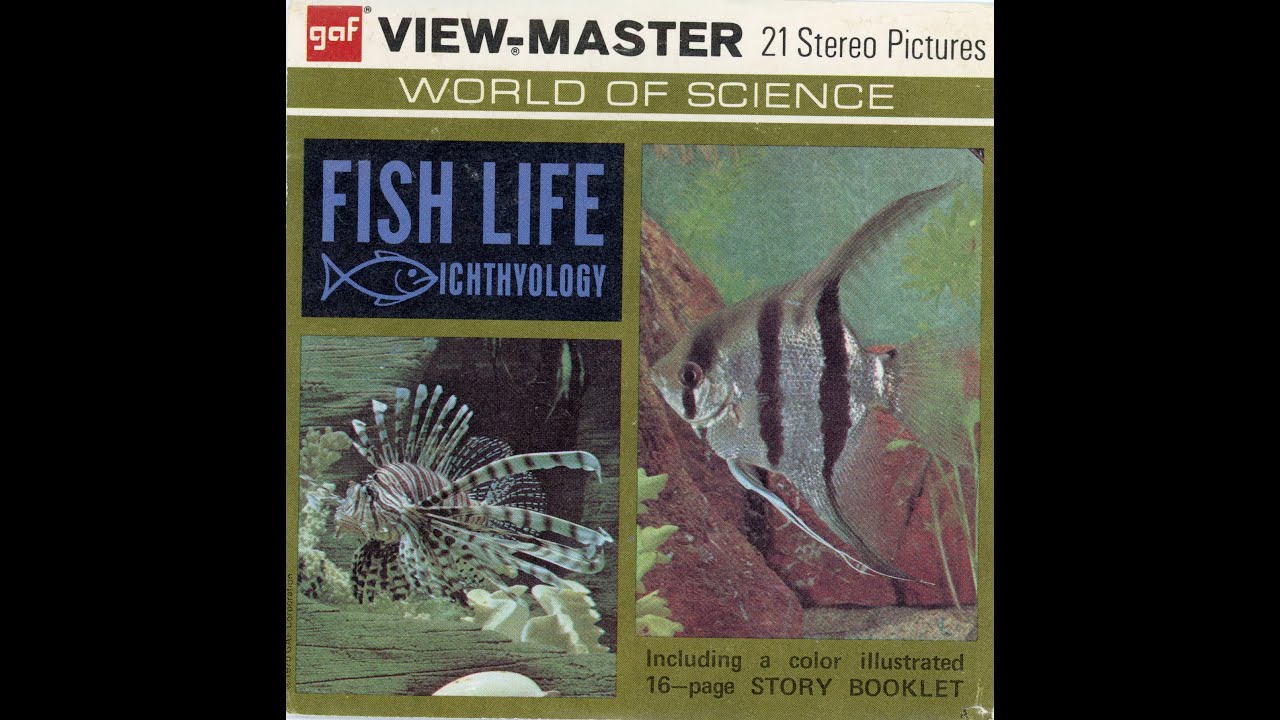[SBS Parallel-View] FISH LIFE (B 6791, 6792, 6793) - YouTube