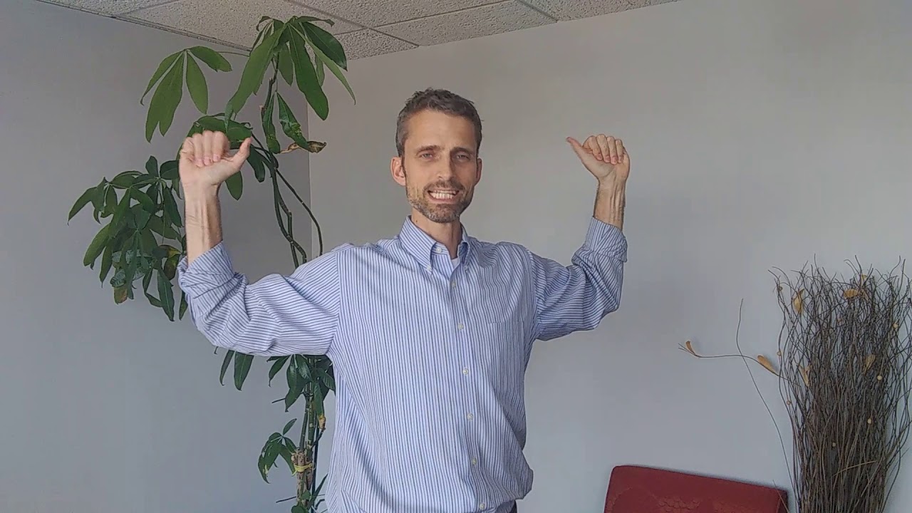 Cactus Stretch - YouTube