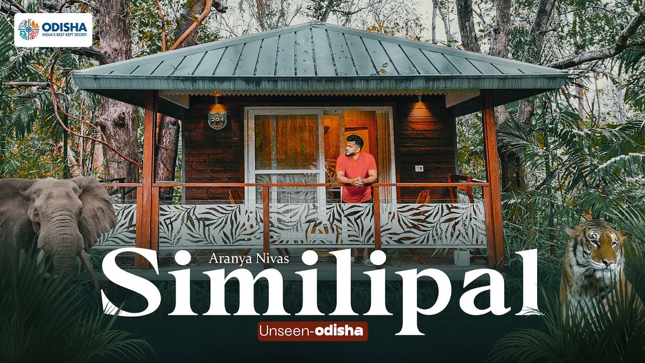 A DAY IN SIMIILIPAL, ODISHA'S DEEP JUNGLE | Best Travel Destination in ...
