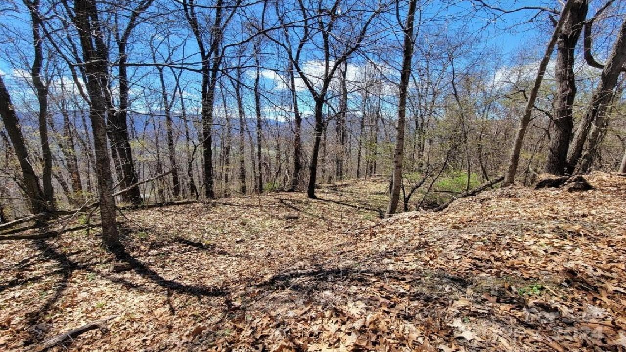 2475 Utah Mountain Road, Waynesville, NC Presented by Jaci Reynolds ...