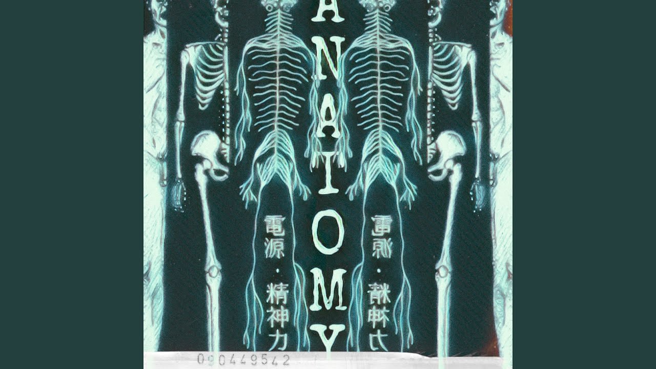 Anatomy - YouTube