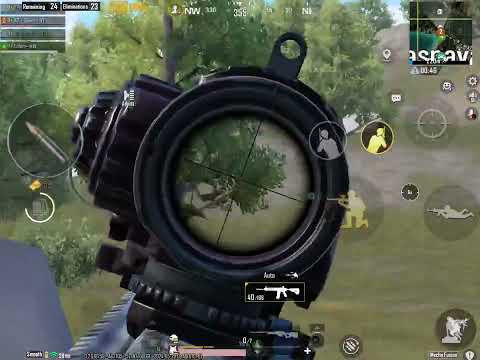 29 kill chicken dinner