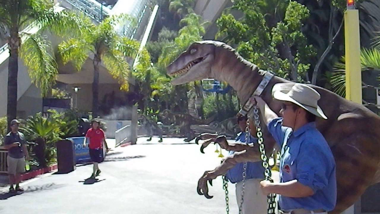 Raptor Encounter at Universal Studios Hollywood - YouTube
