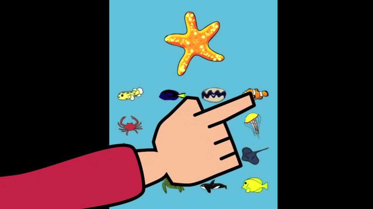 Learn Fish Words YouTube learn-fish-words-youtube