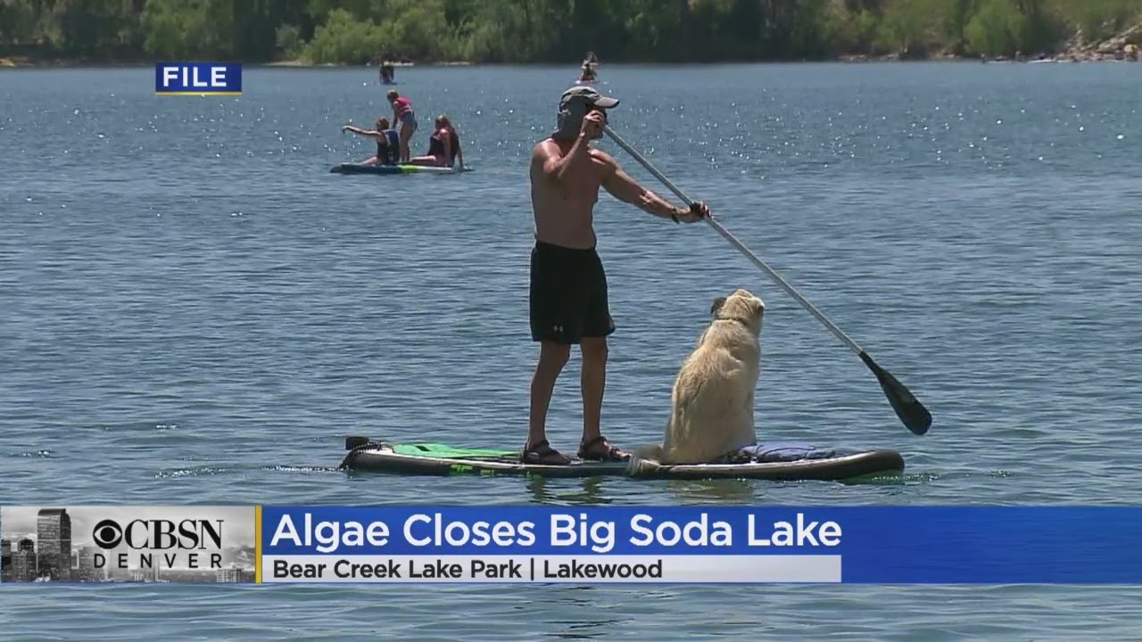 Big Soda Lake Inside Bear Creek Lake Park Closes Due To Blue-Green ...