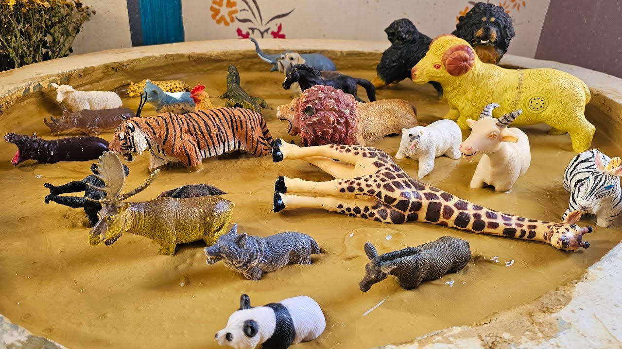 Stuck in the Mud: Farm and Forest Animal Fun for Little Learners! - YouTube