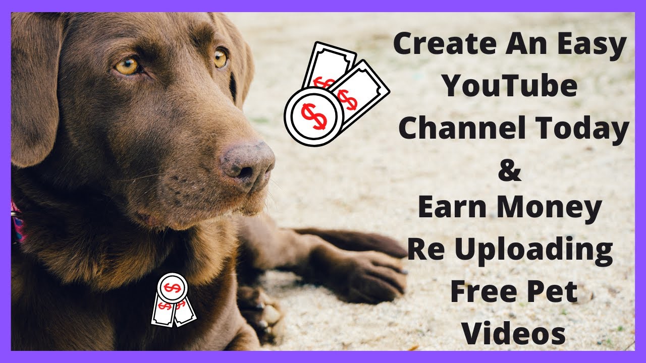 Re Uploading Copyright Free Videos To YouTube Pet Videos YouTube re-uploading-copyright-free-videos-to-youtube-pet-videos-youtube