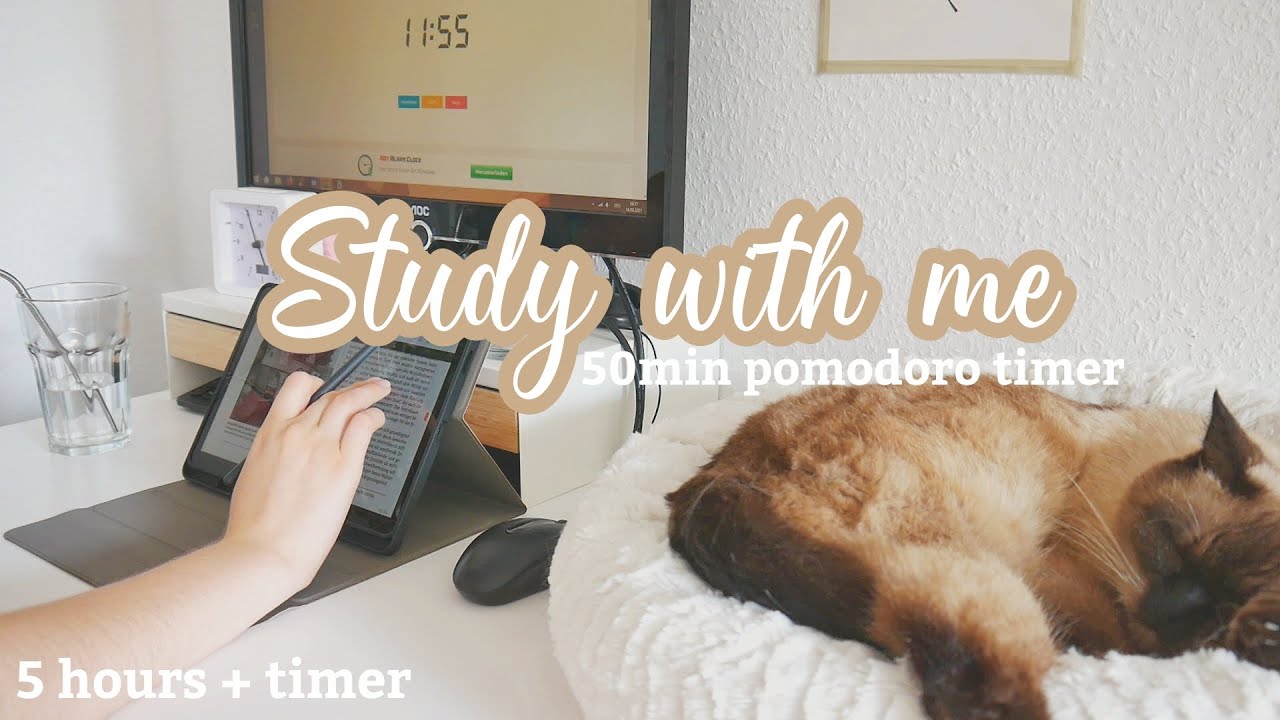 Study With Me // 5 hours real time, 50/10 pomodoro timer, no music ...