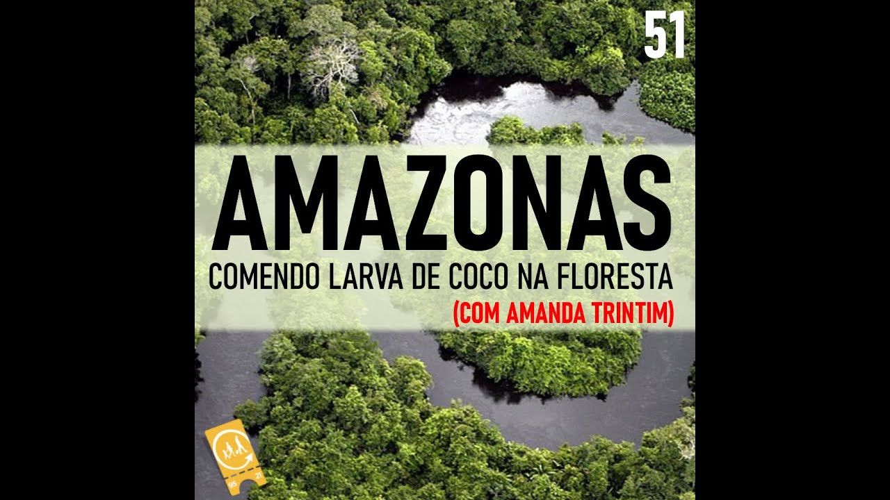Amazonas: comendo larva de coco na floresta (com Amanda Trintim) - YouTube
