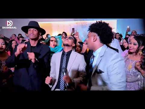 CALI ZAKI - HABLAHA ARAB 2025