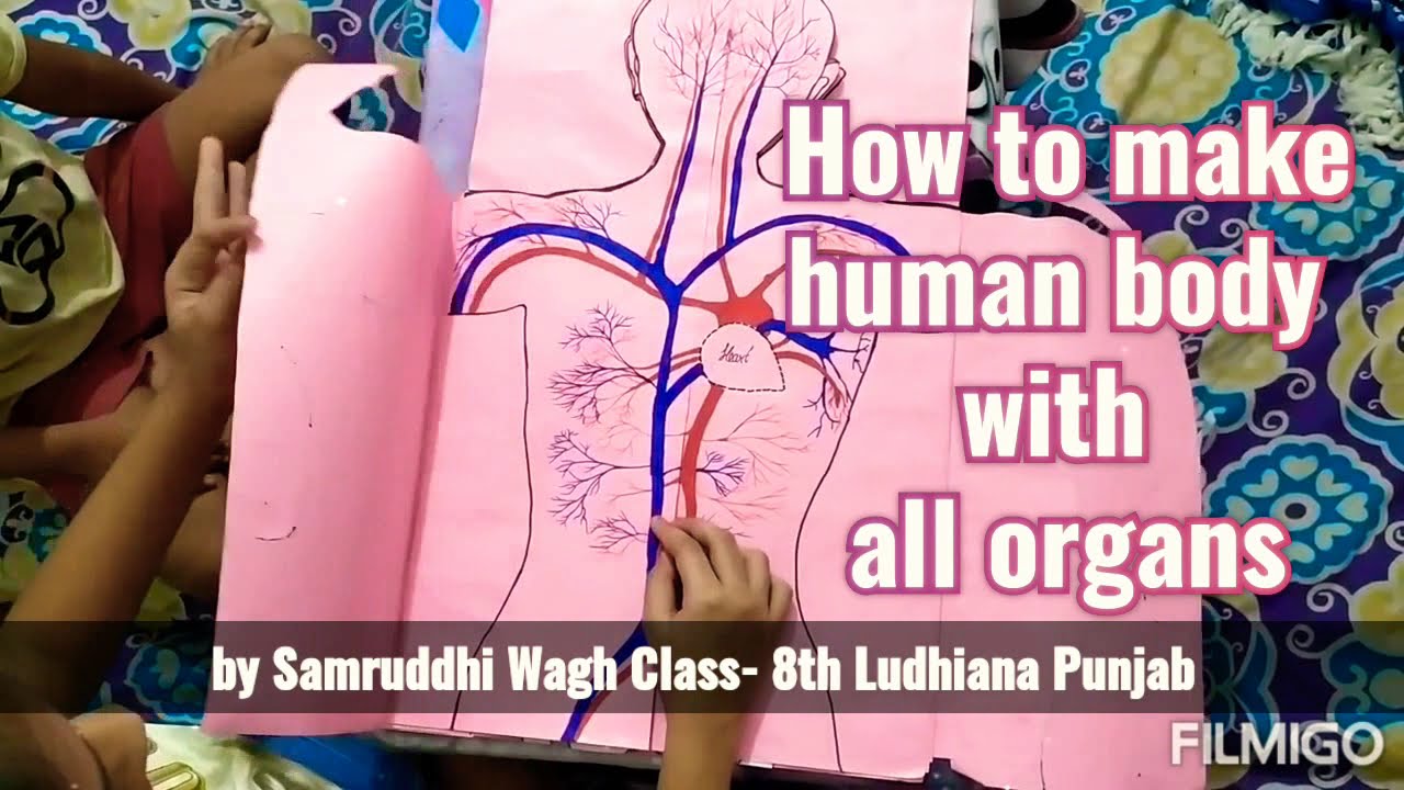 How to make human body with all organs - YouTube