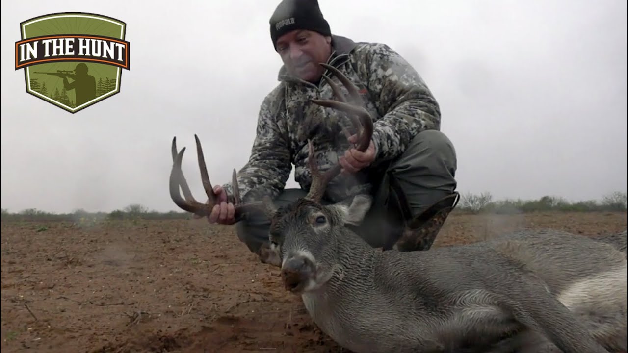 In the Hunt: Patience | Deer Management | Whitetail Hunting | Taxidermy ...