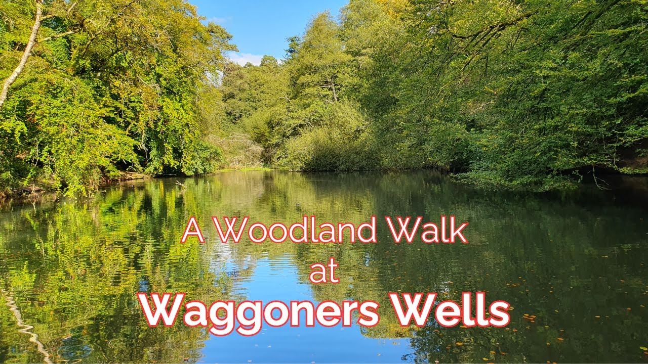 A Woodland walk at Waggoners Wells - YouTube