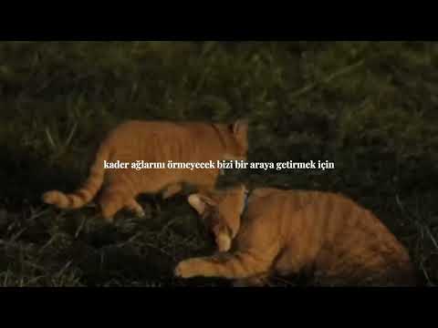 Belki Birimiz Öleceğiz - Nazım Hikmet