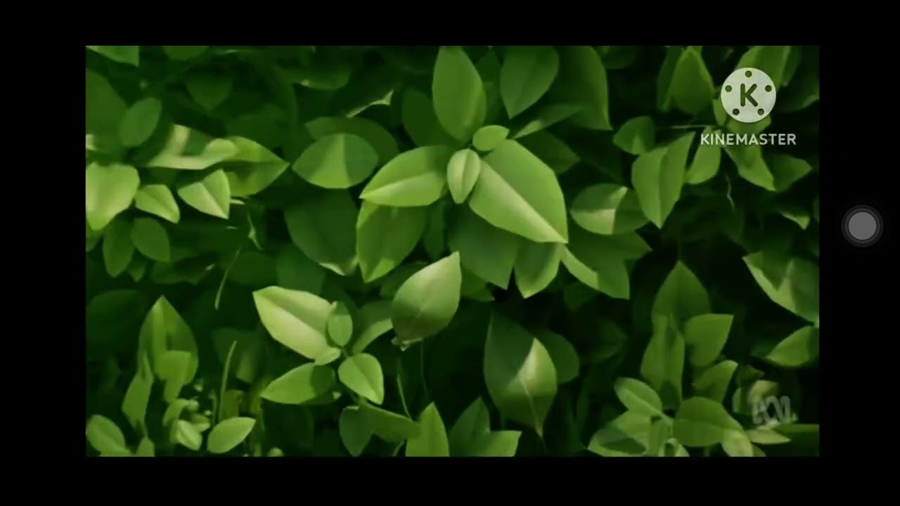 6 April 2024 - YouTube